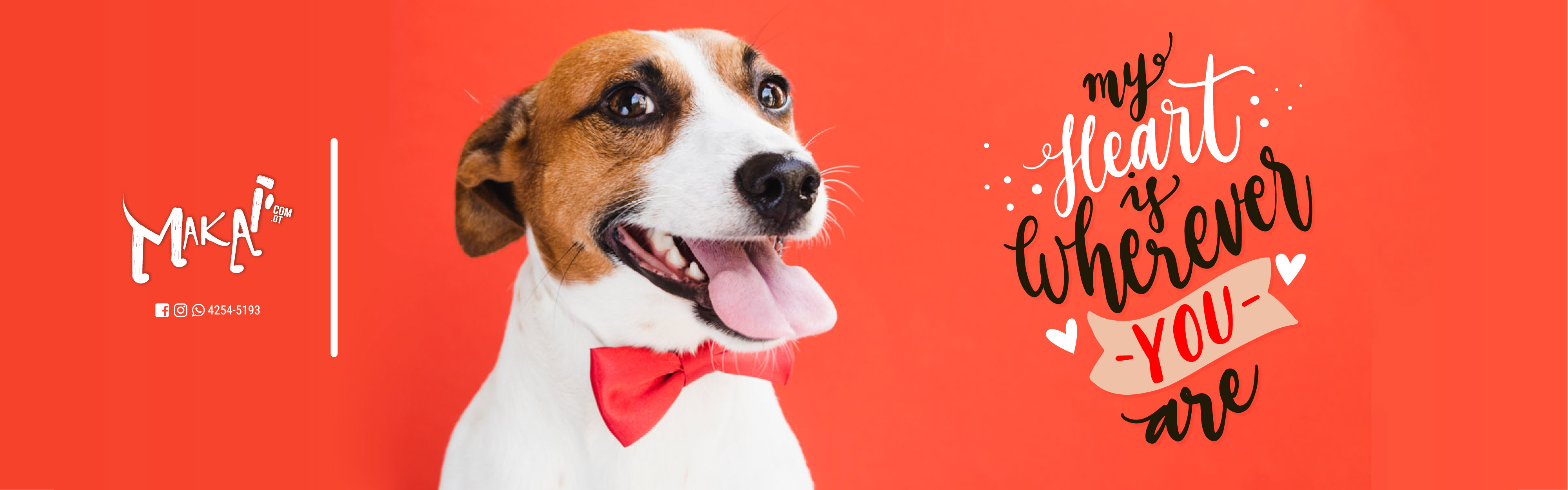 Bienvenido - Makai.com.gt